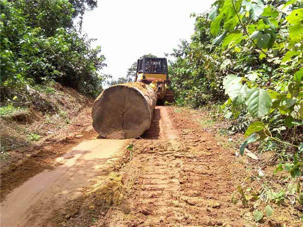 Chinese XG4221L forestry logging bulldozer with mechnical winch for ...